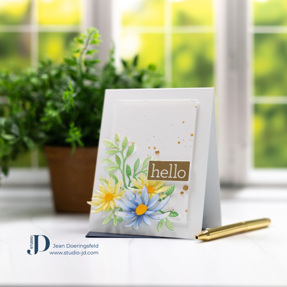 Hello, Daisies! - Studio JD