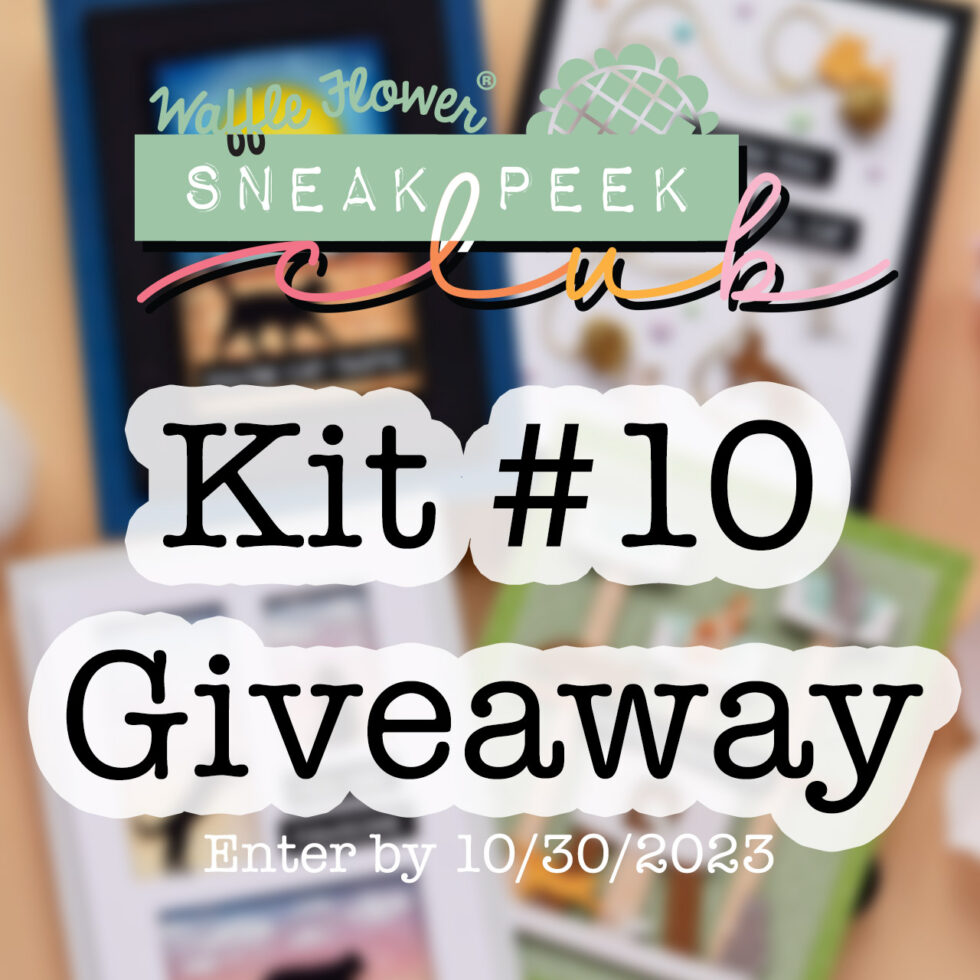 Waffle Flower Sneak Peek Kit #10 - Studio JD