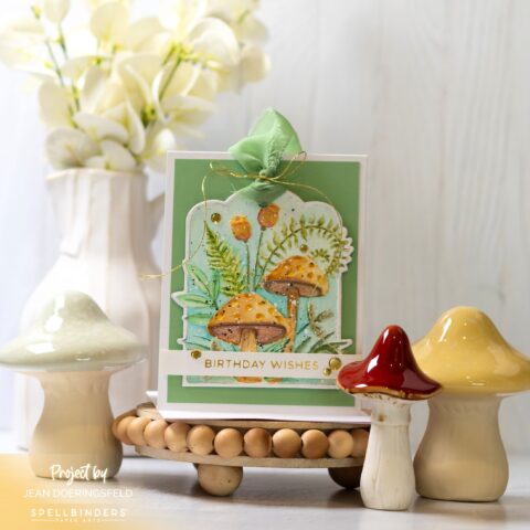 Forest Mushrooms - Studio JD