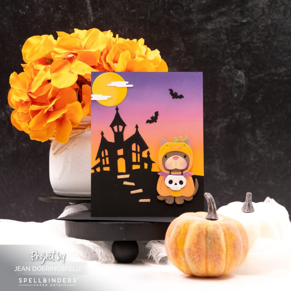 All Dressed Up and Ready to Howl! - Studio JD